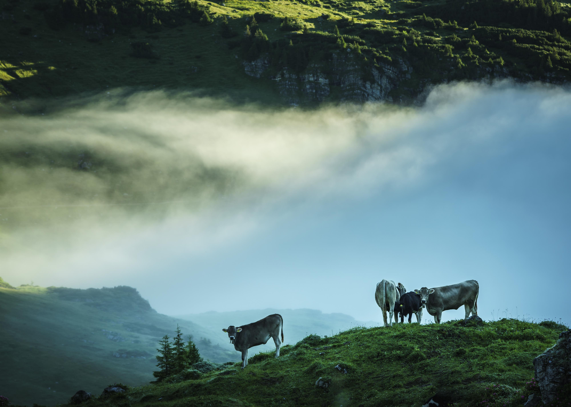 Ausstellung "So klingen unsere Alpen"